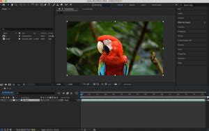 How To Save An After Effects File In A Lower Version Aejuice Com