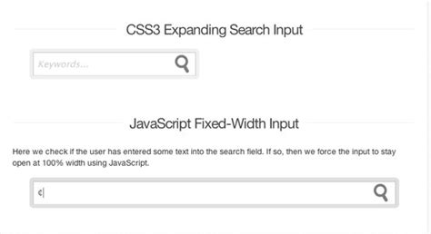 How To Code An Expanding Html5css3 Search Input Field Search Html5