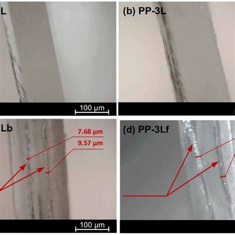 Plm Observation Of The Cross Section Download Scientific Diagram