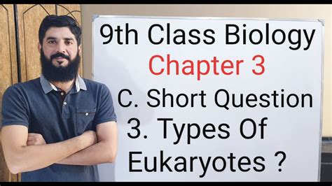 How Many Types Of Eukaryotes Are Found Types Of Eukaryotes Define