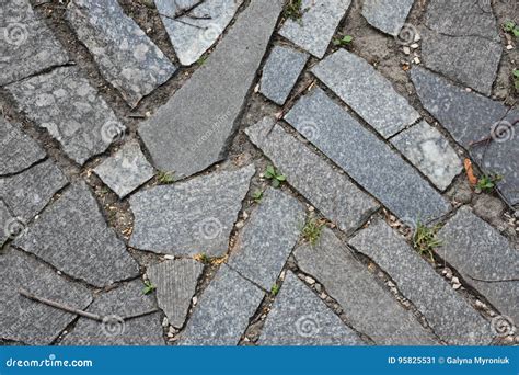 Background Composition Tree Bark Brick Brickwork Cement Building Wood