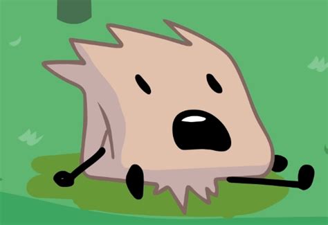 User Blog Somerandominactiveaccountblahblahblah Weird Bfb Thing