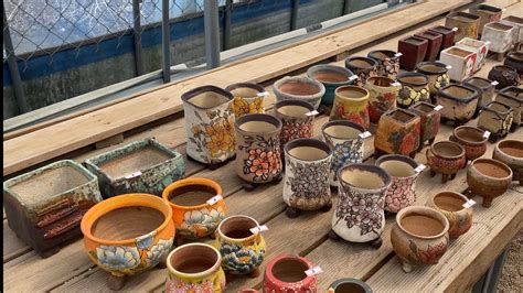 정교하게 만들어진 개인공방 중고 다육이화분 30종 한상차림 🥗💛 다육이화분 20230326 Youtube