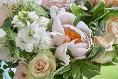 분홍색과 흰색 모란 장미와 녹지 야외의 신부 꽃다발을 가까이서 공간을 복사하십시오 웨딩 컨셉 0명에 대한 스톡 사진 및 기타 이미지 Istock