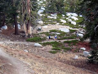 Run Lake Tahoe Blue Planet Run On The Tahoe Rim Trail