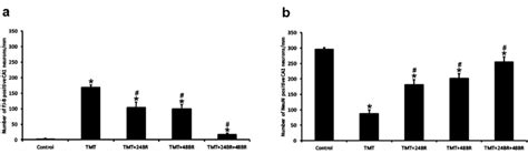 Quantification Of Fluorescence Intensity A And Quantification Of The Download Scientific