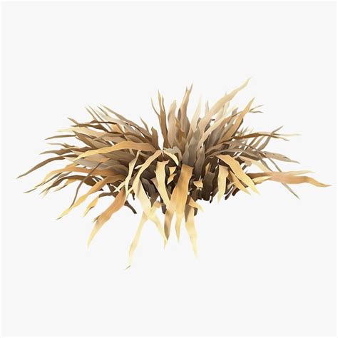 Grasses Gltf Models For Download Turbosquid