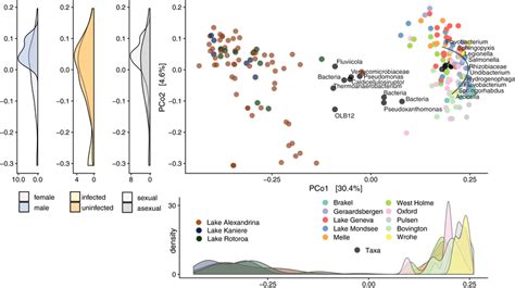 Snail Microbiota Ecosystem Clustering Biplot Pcoa On Unweighted Download Scientific Diagram