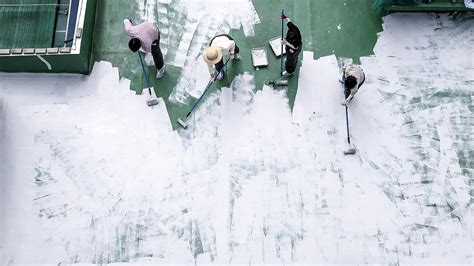 포토타임 옥상에 흰색 페인트 칠하면 실내온도 45도 떨어진다 중앙일보