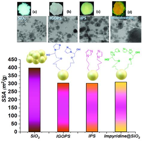 photos tem images and ssa of functionalized nano sio2 hybrid