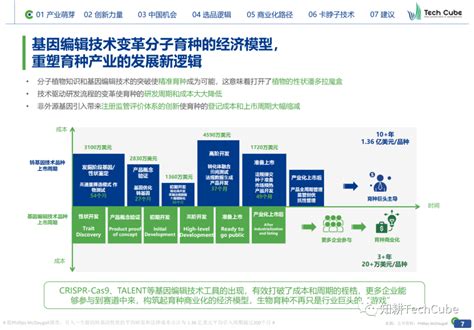 植物基因编辑育种