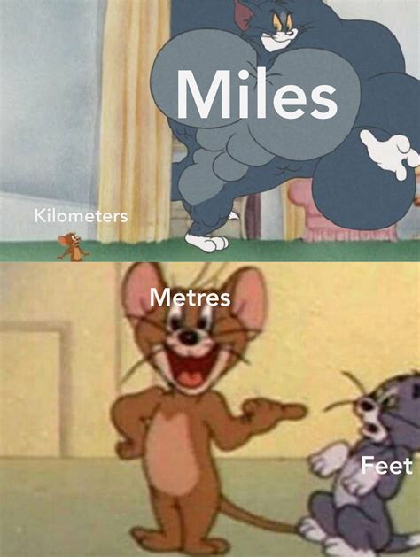 Sample Size Meme At Quyen Elliott Blog