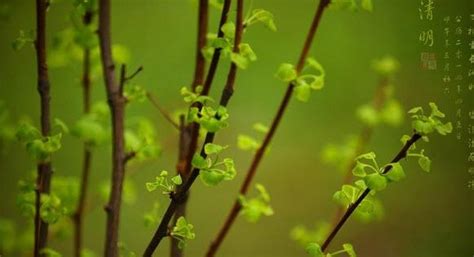 如何统计选定区域内单元格内容的个数？ 知乎