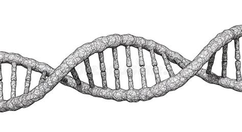 Dna Double Helix Model Represented In A Sketch Style The Helical Structure Stock Illustration