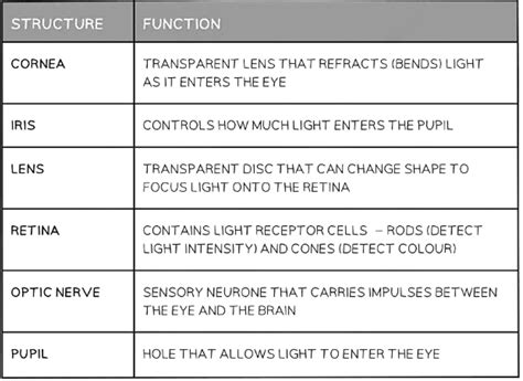 The Eye Biology For Gcseigcse Year 11 Pdf Download