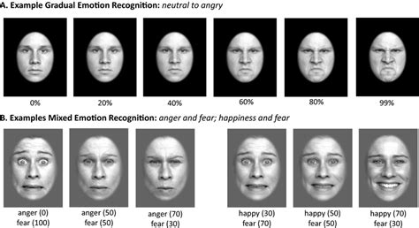 Examples Of The Visual Stimuli Used A Illustrated Are 6 Steps Of A