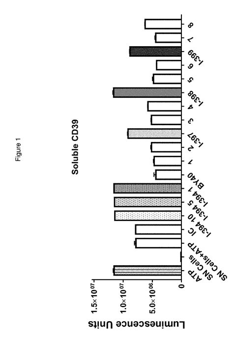 Restoration Of T Cell Activity Via The Cd39cd73 Axis Eureka Patsnap
