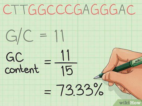 How To Determine The GCContent Of A DNA Sequence Steps