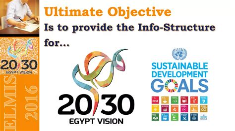 Egyptian Lmis The Conceptual Framework Pdf Business And Finance