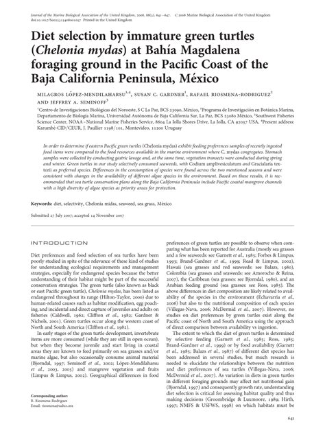 Pdf Diet Selection By Immature Green Turtles Chelonia Mydas At Bahí