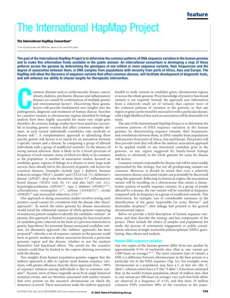 Pdf The International Hapmap Projectcity