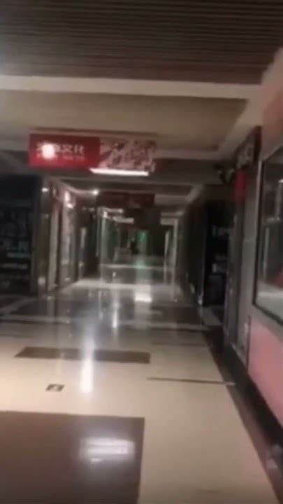 휴대용 고출력 레이저 포인터 그린 레드 퍼플 레이저포인트 별지시기 수업 발표 프레젠테이션 Youtube