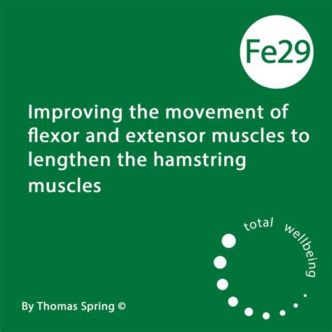 Fe29 Improving The Movement Of Flexor And Extensor Muscles To Lengthen The Hamstring Muscles
