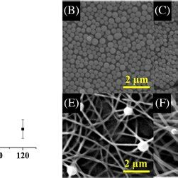 The Effects Of SiO2 Nanoparticle Size On Their Incorporation Into Download Scientific Diagram