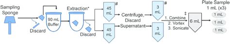 Pictorial Overview Of The Sample Process And Analysis Method For Each