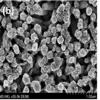 Plan View Of TiO A And Ag TiO B Films And Cross Section FE SEM