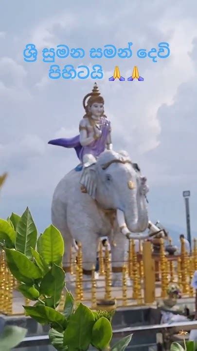 ශ්‍රී සුමන සමන් දිව්‍ය රාජයානෝ 🙏🙏🙏 Youtube