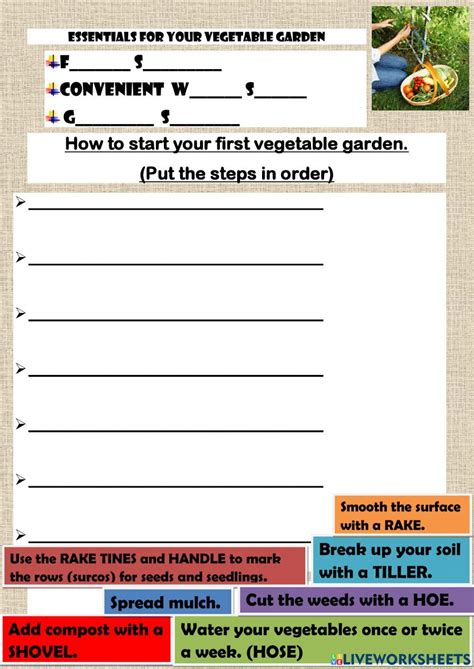 Vegetable Garden Online Worksheet Live Worksheets