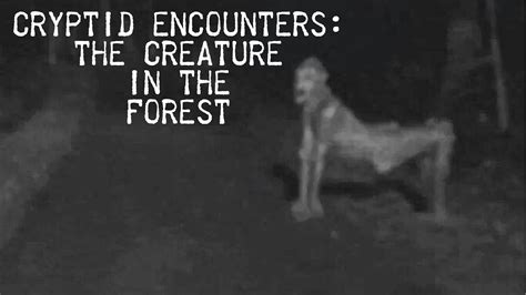 Cryptid Encounters The Creature In The Forest Youtube