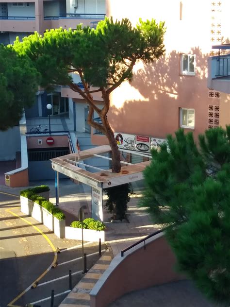 BB Moveobjects On R Sims4