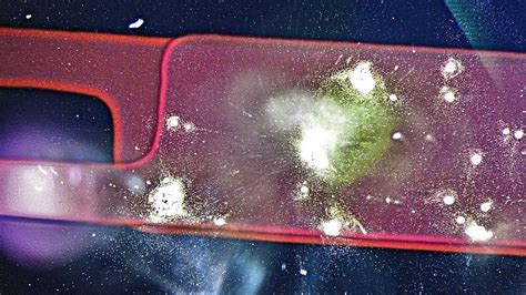 Biomaterials Science And Regenerative Medicine Department Of Biomedical