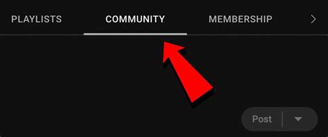 how to use the youtube community tab and engage with viewers