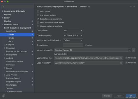 mac idea自带maven没有settings文件 csdn博客