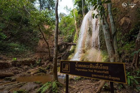 Photo Gallery พิชิตยอดเขาเทวดา ชมทะเลหมอกใกล้กรุง ที่ “อช พุเตย” อุทยานฯ แห่งเดียวในเมืองสุพรรณบุรี