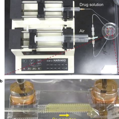 Artificial Intestinal Tract With A Pneumatic Balloon Actuator