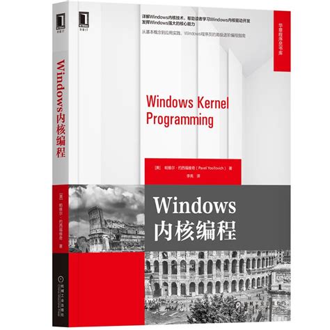 Windows 內核編程 天瓏網路書店