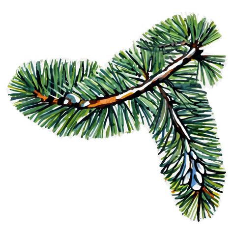 200 Pine Png Images