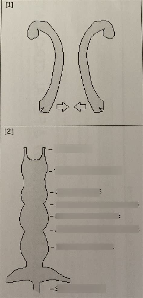 Week 3 Diagram Quizlet