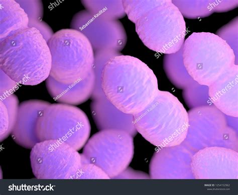 3d Rendered Medically Accurate Illustration Enterococcus Stock