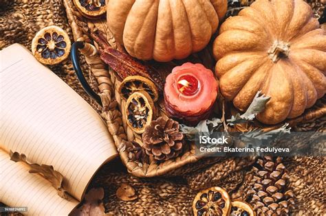 뜨개질 된 모직 격자무늬에 불타는 양초 열린 책 및 호박이있는 아늑한 따뜻한 가을 구성 가을 가정 장식 가을 분위기 추수 감사절 할로윈 0명에 대한 스톡 사진 및 기타