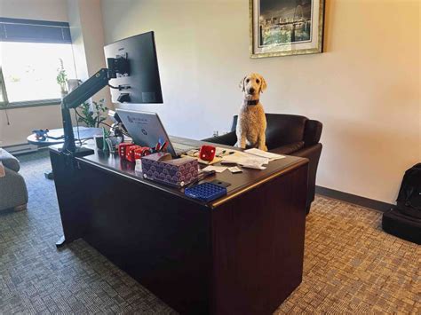 Sbs Creatix On Linkedin Sbsdifference Funny