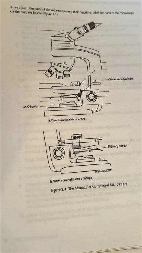 Parts Diagram Of A Compound Microscope