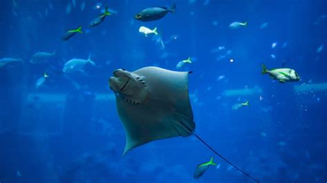 — 首页 Ceph 存储系统