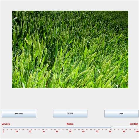Example Of Graphical User Interfaces Used For Assessing Image Quality