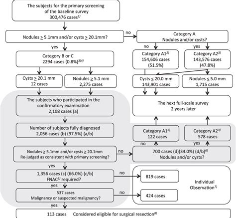 Flow Chart Of Primary Screening In The Baseline Survey From October 9 Download Scientific