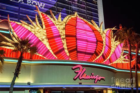 Flamingo Center Neon Sign At Night Photograph By Aloha Art Fine Art